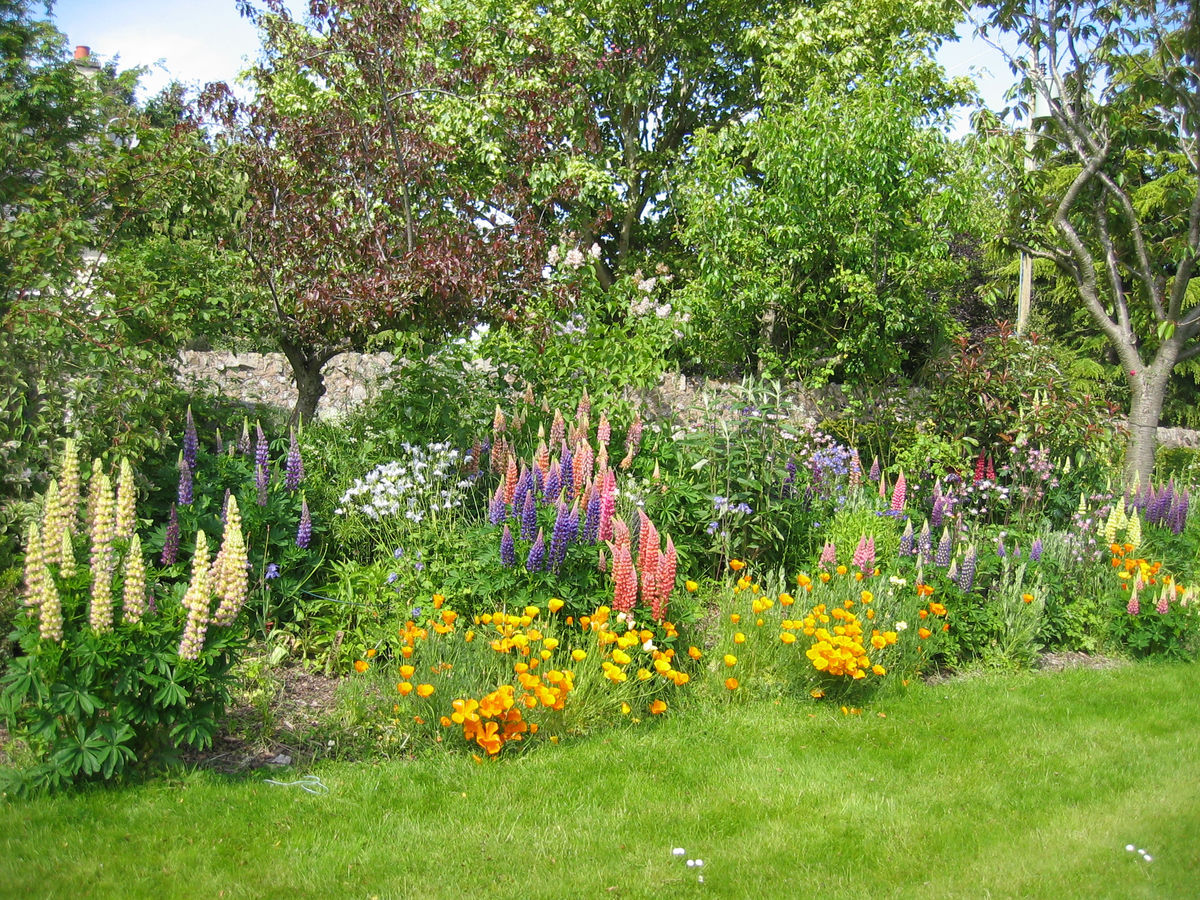 Which gardens are open for the new Fife spring garden trail?