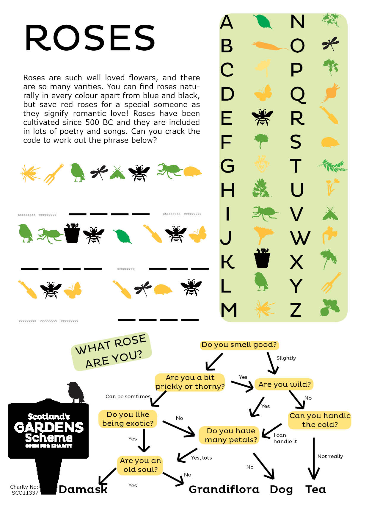 Children's Activity Handouts