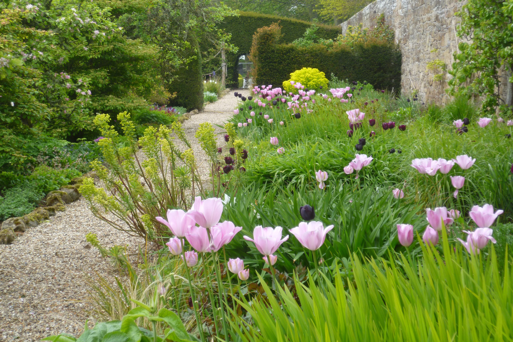 Which gardens are open for the new Fife spring garden trail?