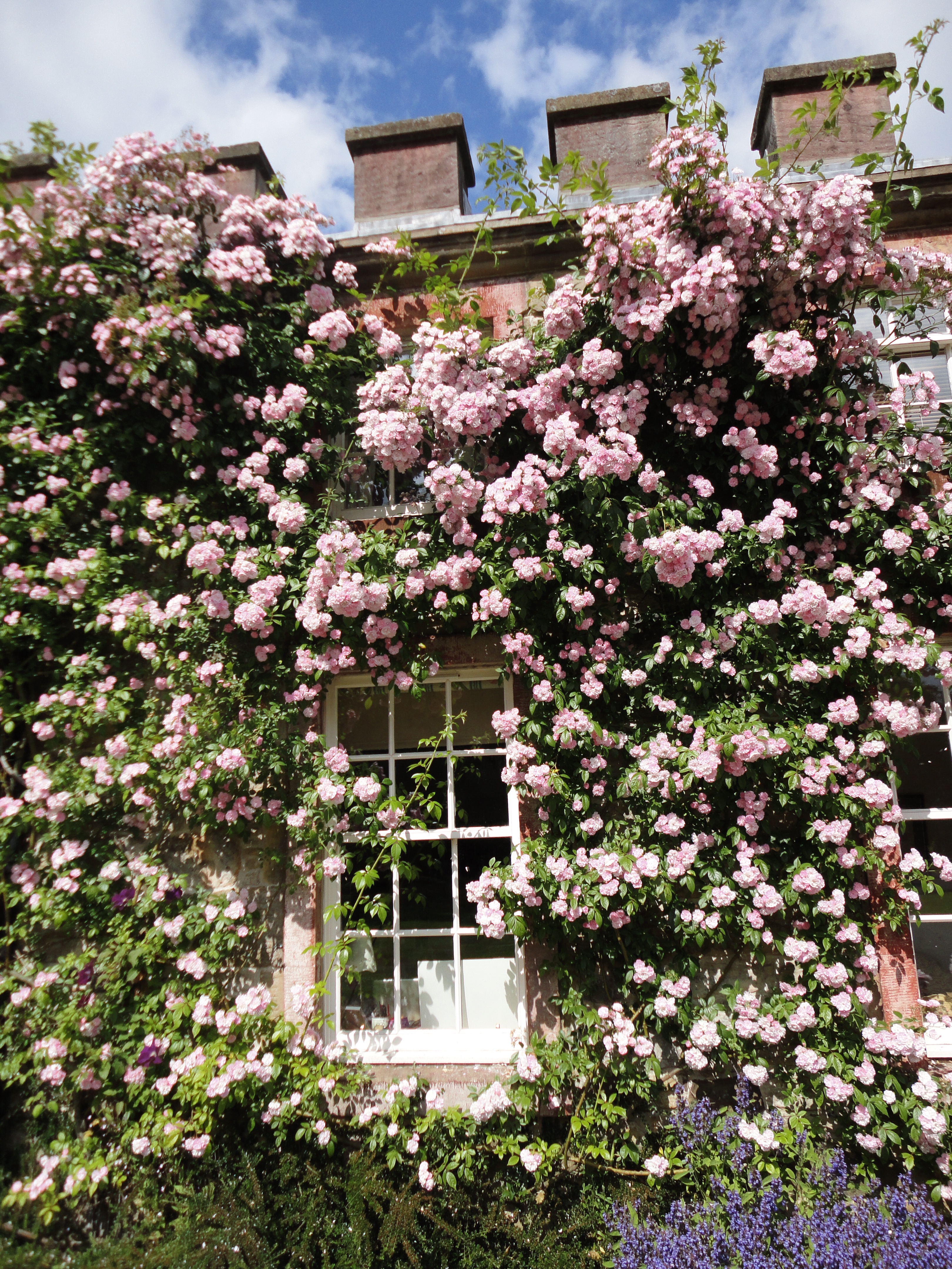 New Gardens Open in June