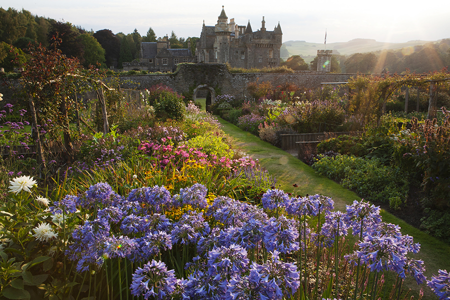 How to Photograph Your Garden