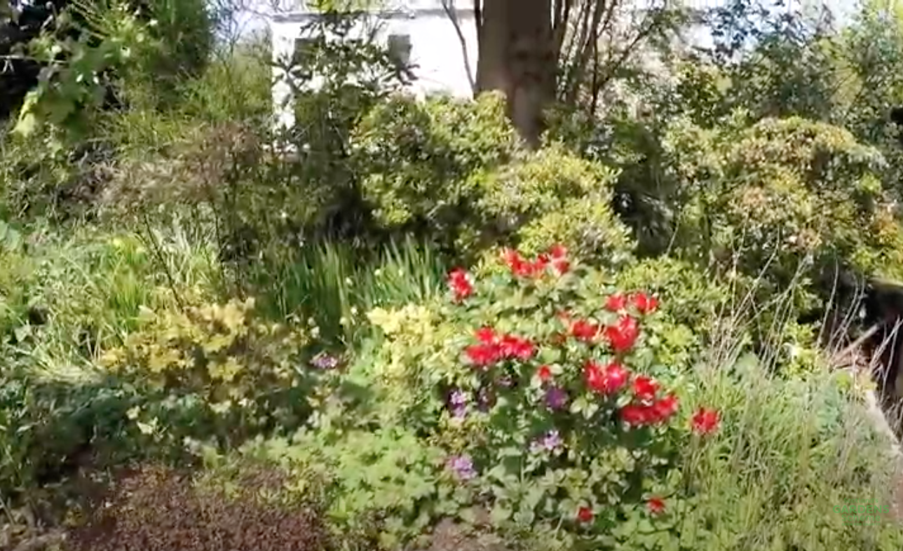 Aeolia, Kilsyth Gardens Virtual Tour