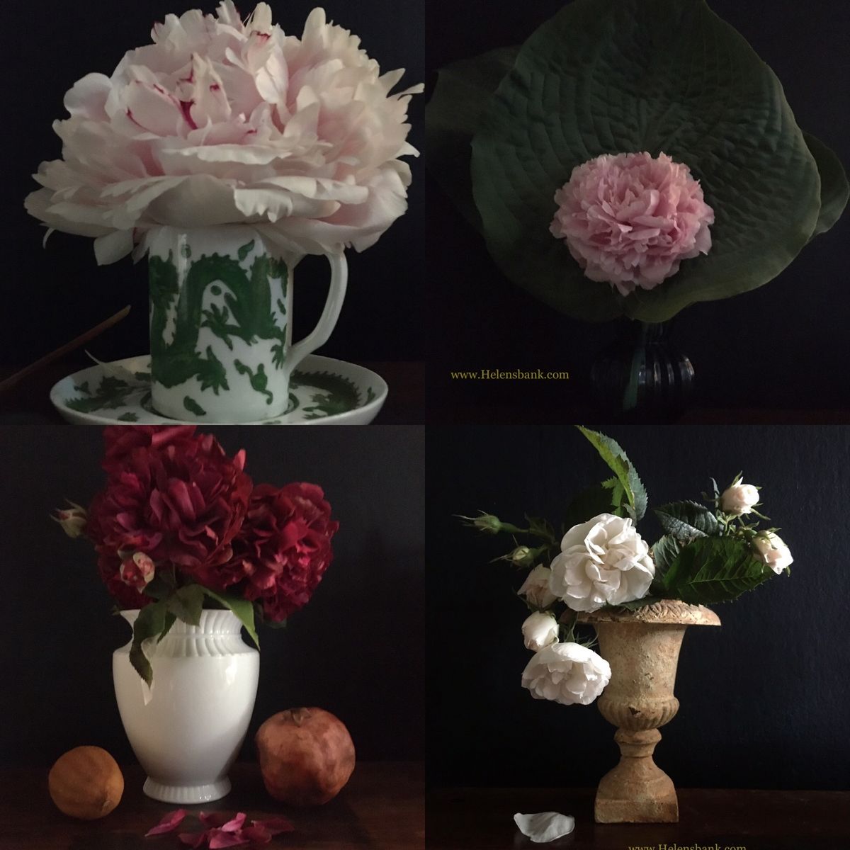 Floral Charity Cards