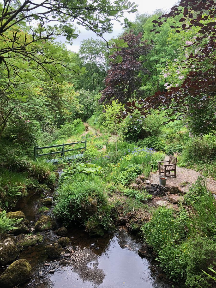 Easing Out of Isolation @ Maolachy Garden in July