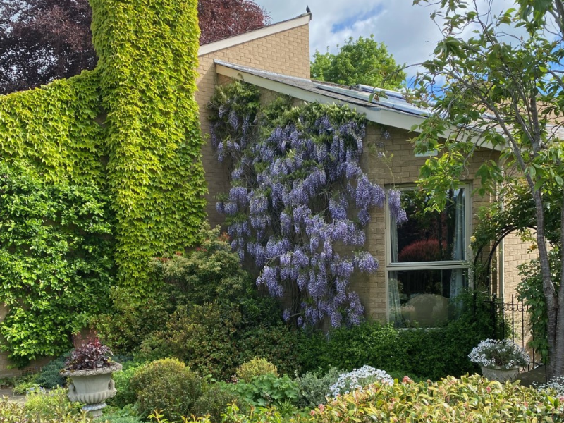 Visit Corners House in Gattonside