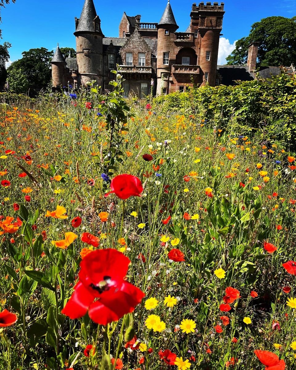 Photography Competition