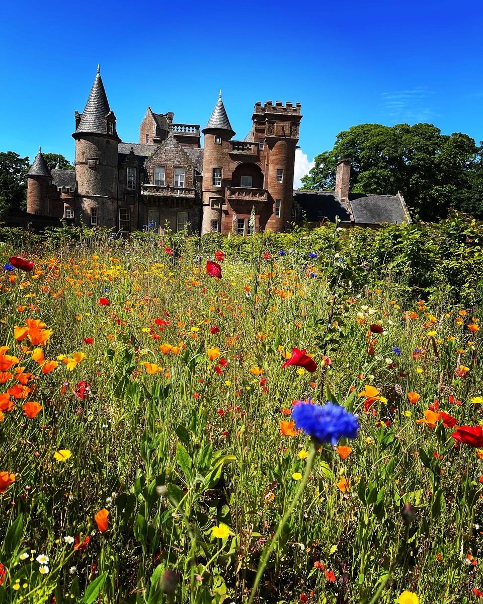 Photography Competition