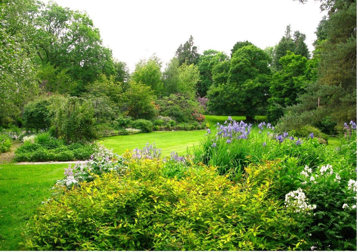 The Creation of a Garden