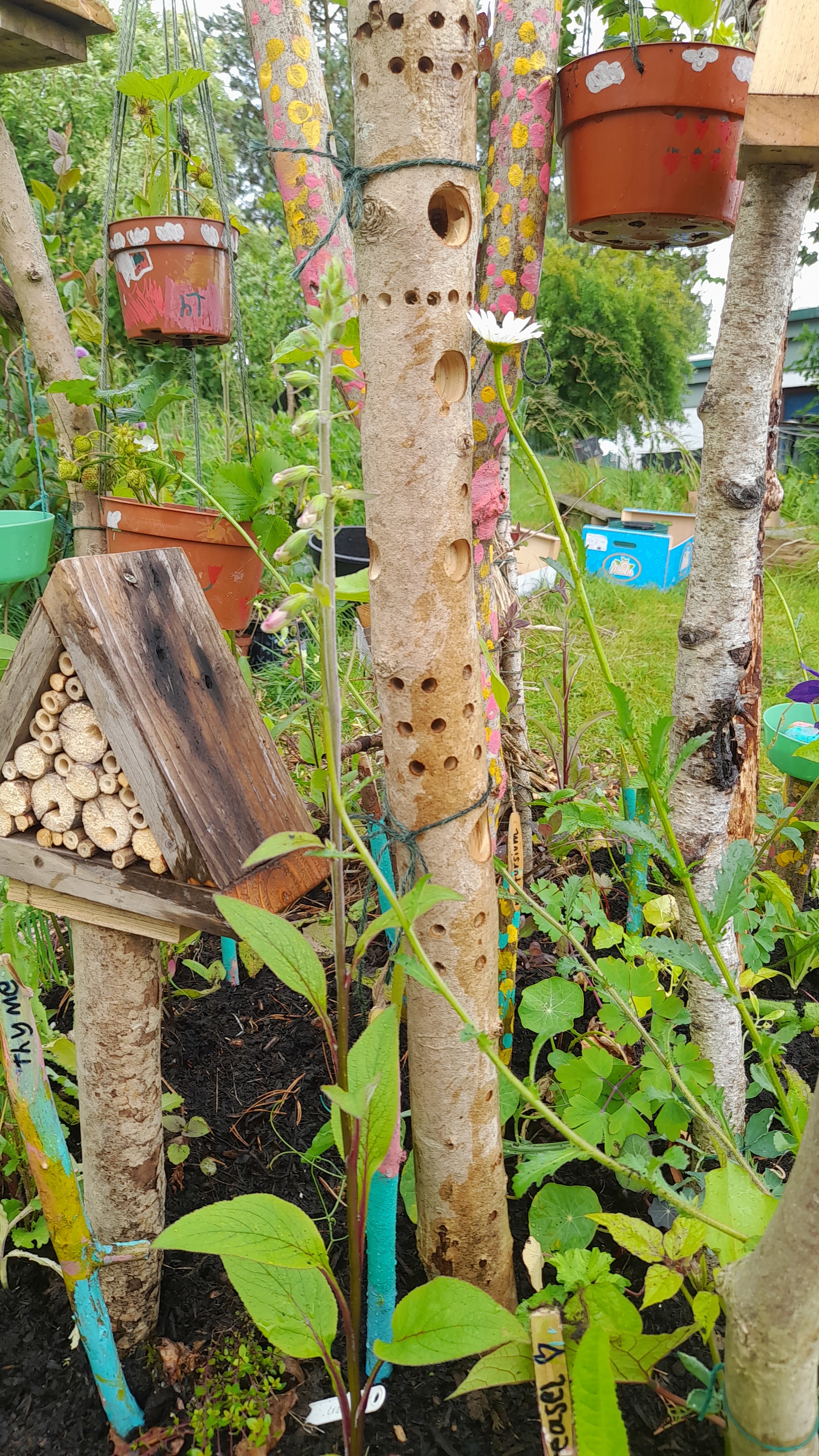 Keep Scotland Beautiful Schools ‘Pocket Gardens’ open with Scotland’s ...